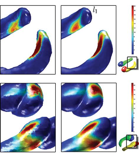 Comparison Between The Lse Left And The Sparse Regression Right On Download Scientific