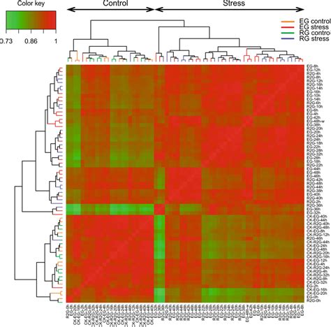 Heatmap Clustering Of The Transcriptome Data Correlations Were Download Scientific Diagram