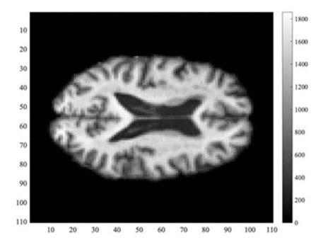 An Axial Slice Of The Dataset Used In The Experiments Download Scientific Diagram