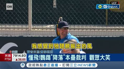 連鸚鵡也想當裁判 美國壘球賽遭鸚鵡亂入 降落本壘裁判惹觀眾大笑 比賽一度暫停卻讓觀眾難忘這意外插曲｜記者 黃語暄｜【國際局勢
