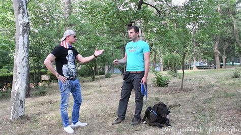 Cane Corso კანე კორსოს კორსოები დავით ოდიკაძე Youtube
