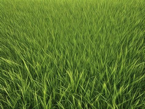 Grass Gradient Background Premium Ai Generated Image