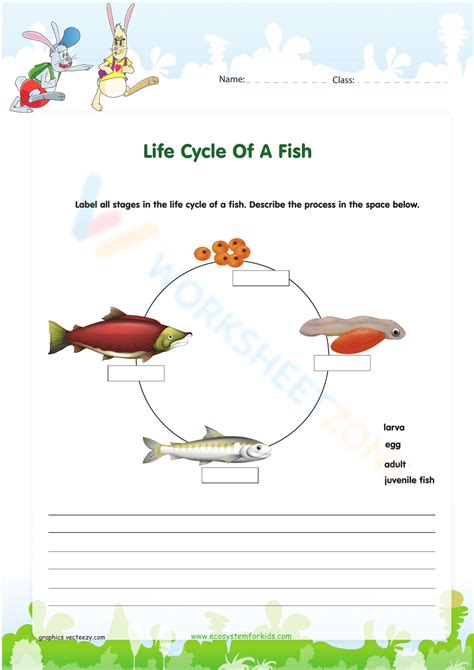 Life Cycle Of A Fish Coloring Page Free Printable