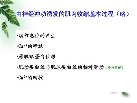 细胞骨架体系 Word文档在线阅读与下载 无忧文档