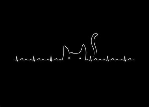 Sweet Kitty Sweet Kitty Added A New Photo