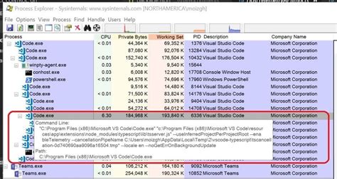 Extension Host Holds Onto File Locks Causing Builds To Fail · Issue