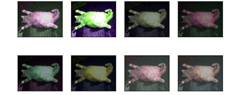 从零开始学Pytorch十五之数据增强 腾讯云开发者社区 腾讯云