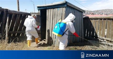 Нүхэн жорлон бохирын цооногт ариутгал халдваргүйтгэл хийнэ