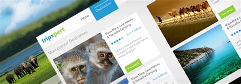 Responsive Features Aspnet Ajax Controls Telerik