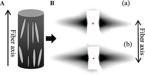 Schematic Diagram Of The Microporous Structure In Pan Fiber A And 2d