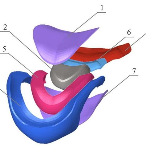 Finite Element Model Of Ivd Second Configuration Download Scientific Diagram
