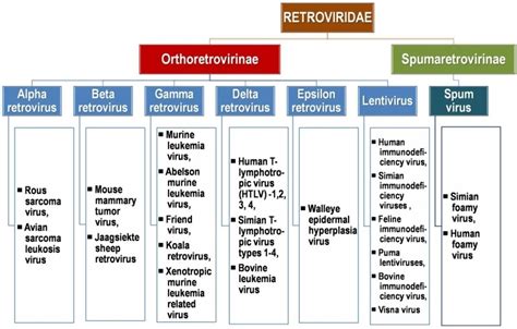 Molecular Biology And Pathogenesis Of Retroviruses Intechopen
