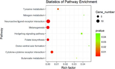 Kegg Pathways Enrichment In Rna Seq P Download Scientific Diagram