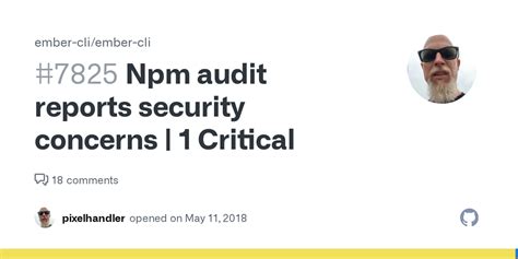 Npm Audit Reports Security Concerns 1 Critical · Issue 7825 · Ember