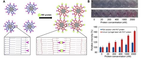 Applications Of Polydiacetylene PDA Vesicle Based Detection Systems