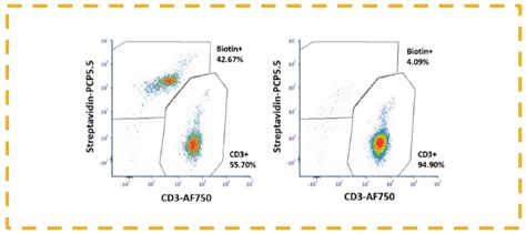Cell Therapy Manufacturing Akadeums Bacs™ Microbubbles