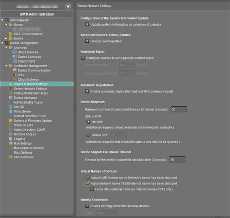 Device Network Settings For The Igel Ums