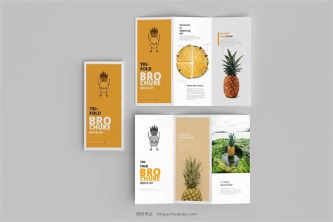 各尺寸宣传册折页样机模型合集 165 Brochure Mockups Big Bundle