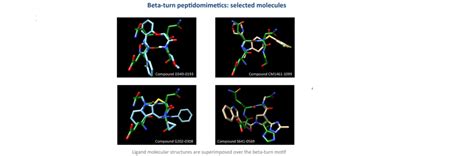 Peptidomimetics Of Beta Turn Motifs Library A Versatile Tool For Drug Discovery Chemistry