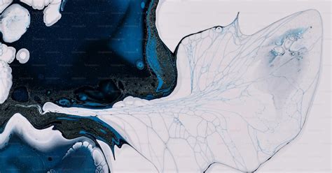 흰색 바탕에 물과 얼음의 추상화 사진 Unsplash의 추상적인 이미지