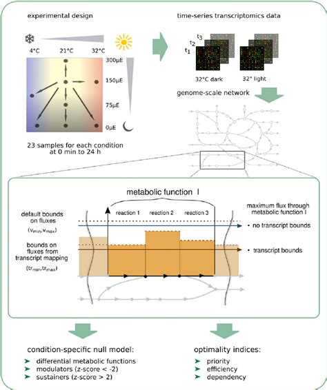 Schematic Representation Of The Proposed Approach Download