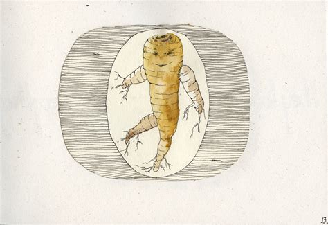 Parsnip Soup On Behance