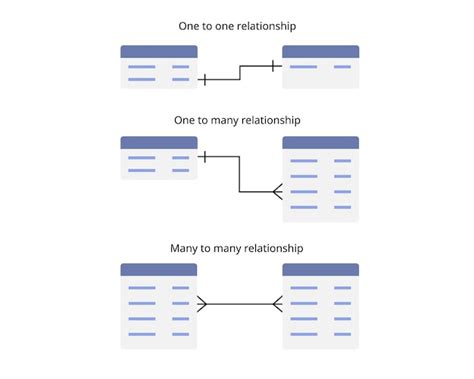 Диаграмма отношений один к многим это фундаментальная концепция Премиум векторы