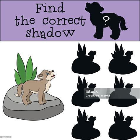 교육 게임 올바른 그림자를 찾을 수 있습니다 작은 아기 늑대 울부 짖는 개에 대한 스톡 벡터 아트 및 기타 이미지 개 검색 교육 Istock