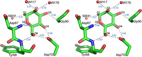 Domain Swapped Structure Of The Potent Antiviral Protein Griffithsin And Its Mode Of