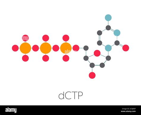 Deoxycytidine Triphosphate Dctp Nucleotide Molecule Dna Building Block Stylized Skeletal