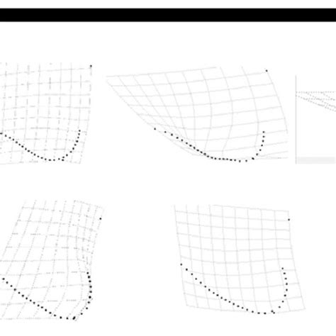 Landmarks And Semi Landmarks In The Mastoid Process A Porion B Download Scientific