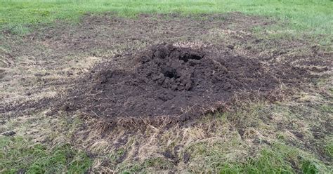 У Пологівському районі українські воїни збили ворожий гвинтокрил Новости Section Ukr Net