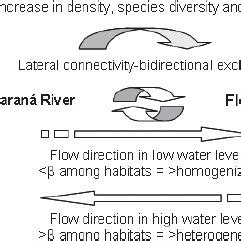 Flow Direction In Low And High Water Levels In The Lateral Connectivity Download Scientific