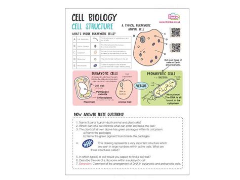 Cell Biology Exam Questions And Answer Guide
