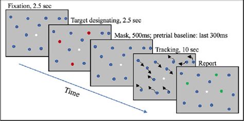 The Multiple Object Tracking Task At The End Of The Tracking Period