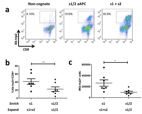 Enrich And Expand Rare Antigen Specific T Cells With Magnetic Nanoparticles