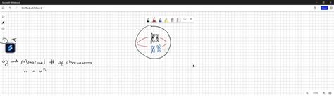 Solvedaneuploidy May Be The Result Of A Duplication Of A Region Of A