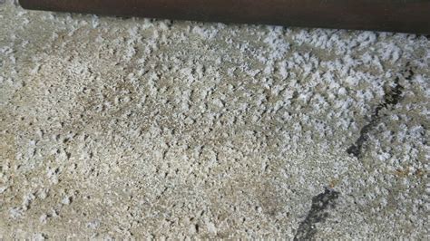 Efflorescence Basement Floor Flooring Tips