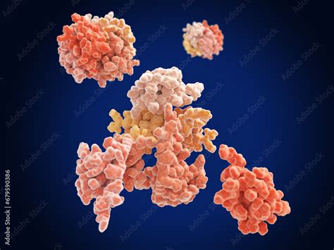 Insulin Hexamer Dissolving Into Monomers After Injection Stock Illustration Adobe Stock