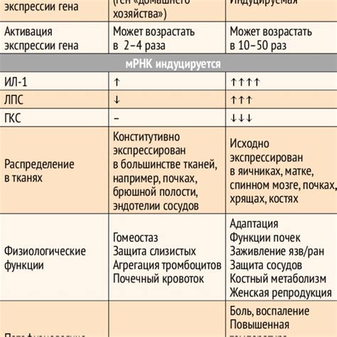 The Properties Of Cox 1 And Cox 2 Isoenzymes Download Scientific Diagram