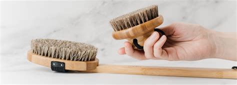 The Difference Between The Great Barrier Reef And The Whitsundays Fringing Reef Systems