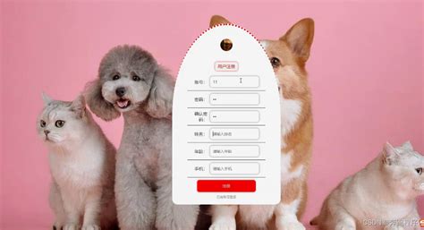 node js毕业设计爱心宠物中心管理系统（express） html nodejs系统爱心宠物医院 csdn博客