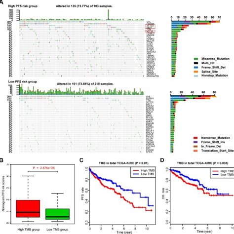 Differential Landscape Of Somatic Mutation Burden Between High And Low