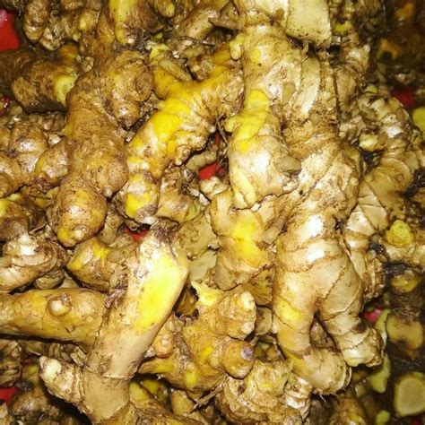 Jual Rimpang Lempuyang Wangi Segar 500 Gram Shopee Indonesia