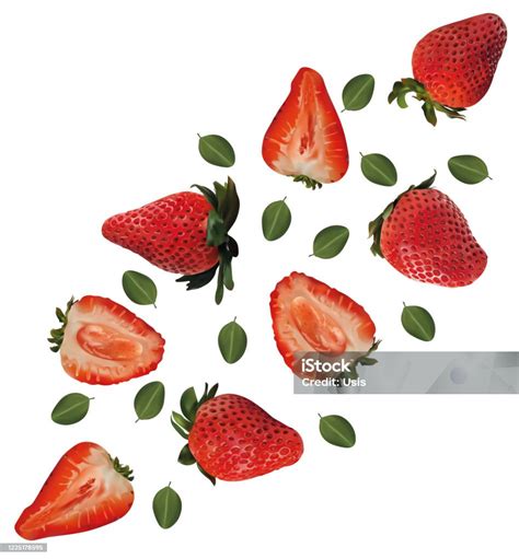 흰색 배경에 나뭇잎딸기 세트 딸기 과일은 전체이며 반으로 자른다 비타민 천연 제품이 풍부한 잘 익은 신선한 딸기 사실적인 일러스트레이션 0명에 대한 스톡 벡터 아트 및 기타