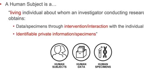 Irb Flashcards Quizlet