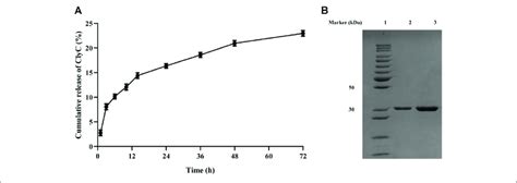 In Vitro Release Of Clyc From Hydrogel At 37 ° C In Tris Buffer A Download Scientific