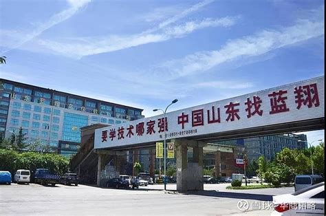 蓝翔怎么了 文 华商韬略 孟娜 挖掘机技术哪家强中国山东找蓝翔 蓝翔靠唐国强广告砸出来的好口碑如今正面临着严峻考验 雪球