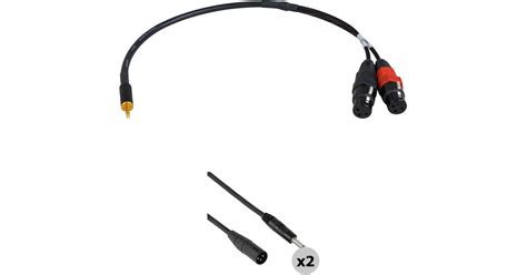 Sescom Two Stereo Balanced Line To Xlr Cables And Mm