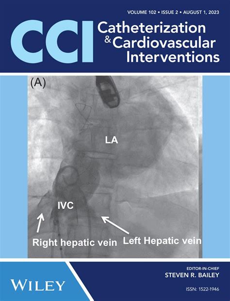 Gabriele Gasparini On Linkedin Coils Embolization Use For Coronary